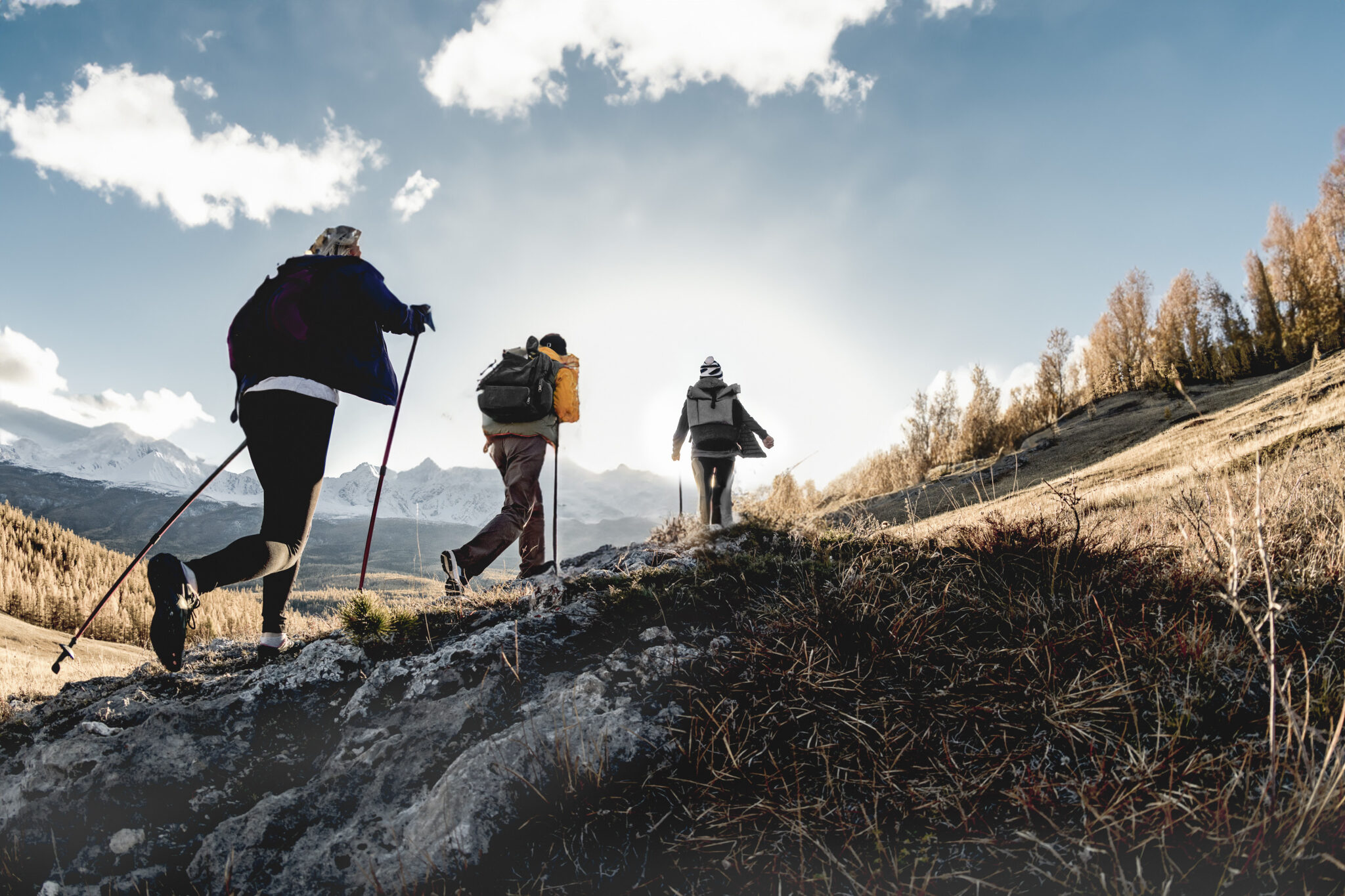 IPMA Level D Projektmanagement-Training - projektimpulse